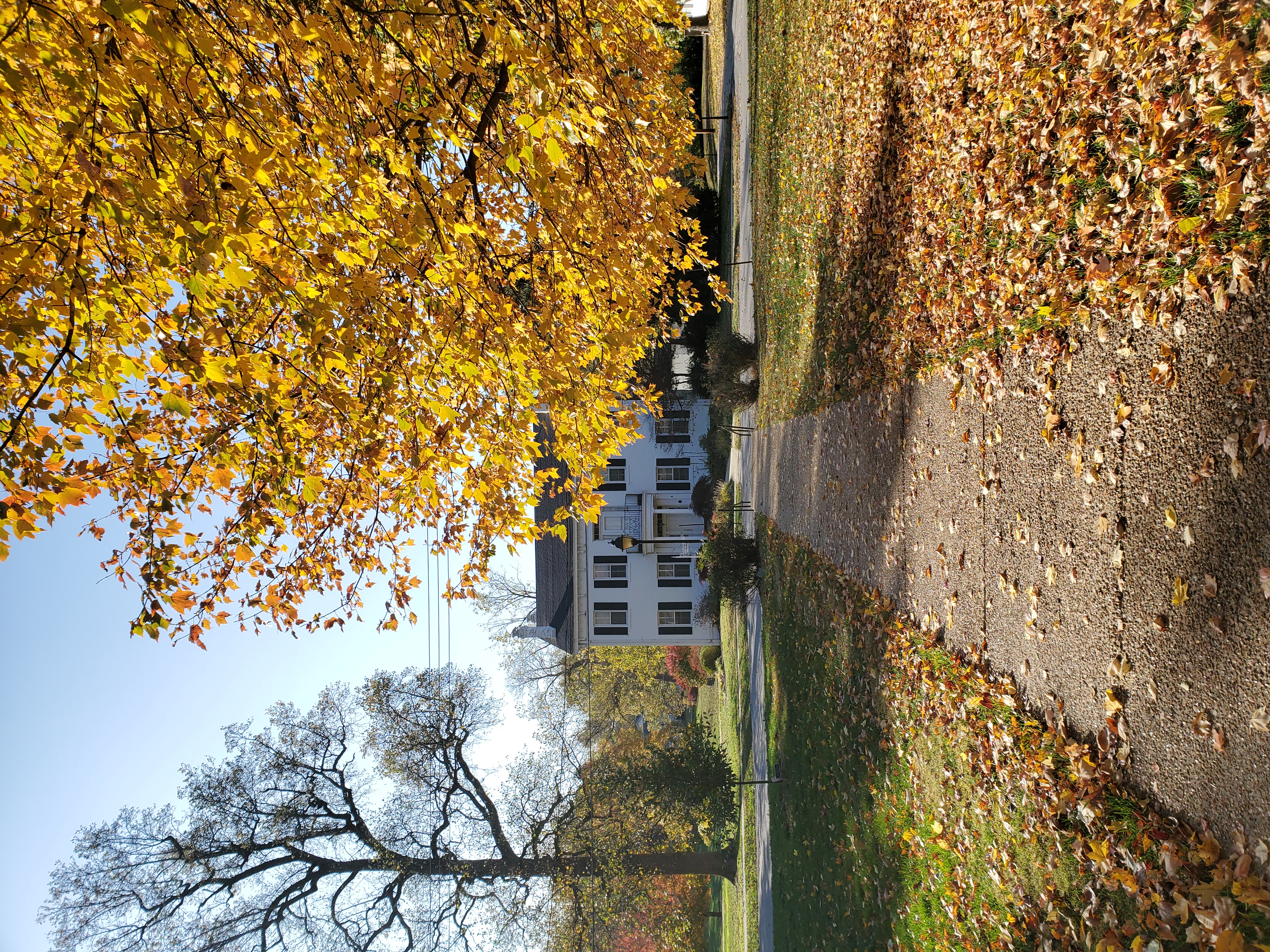 McKendree University | Lebanon, IL