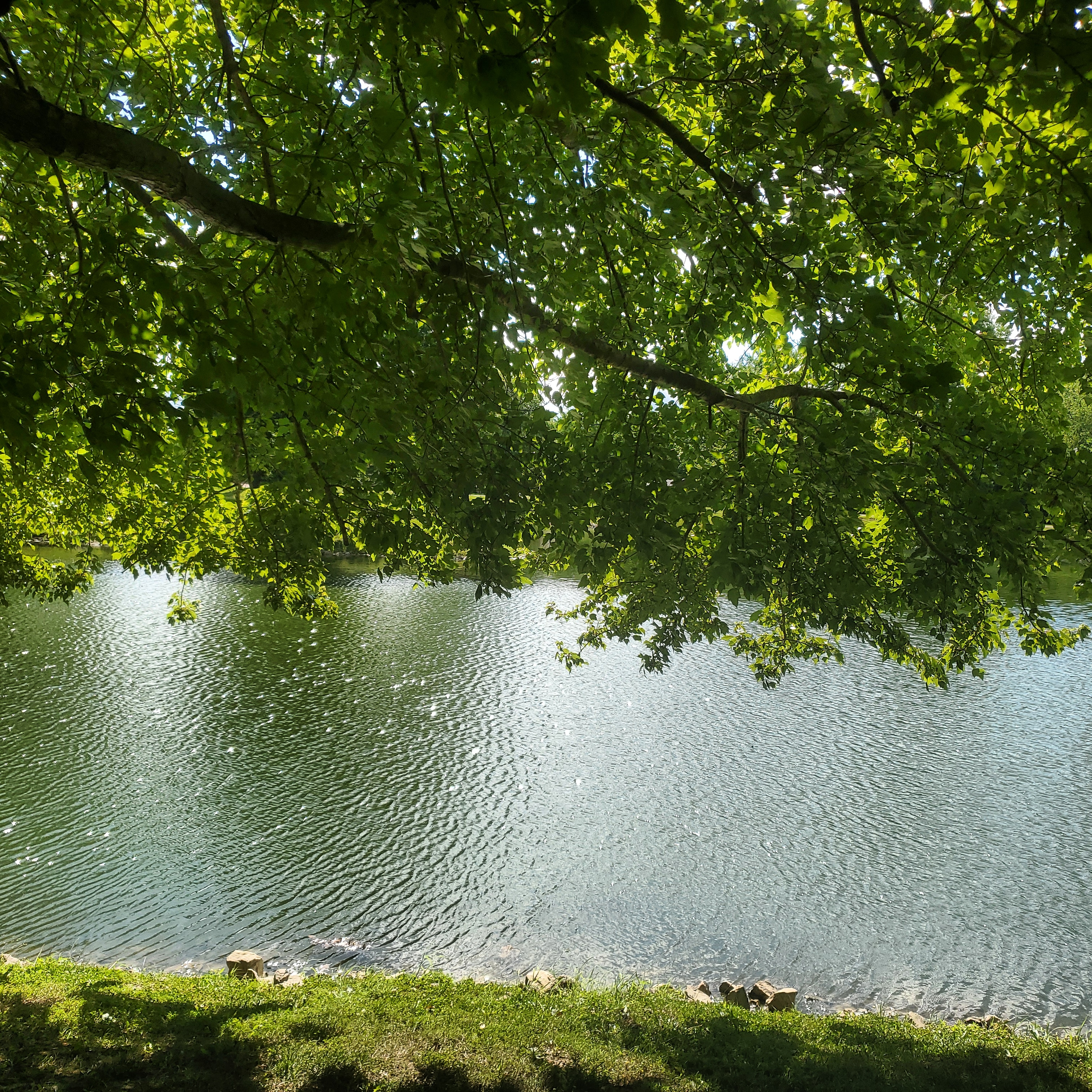 Horner Park | Lebanon, IL